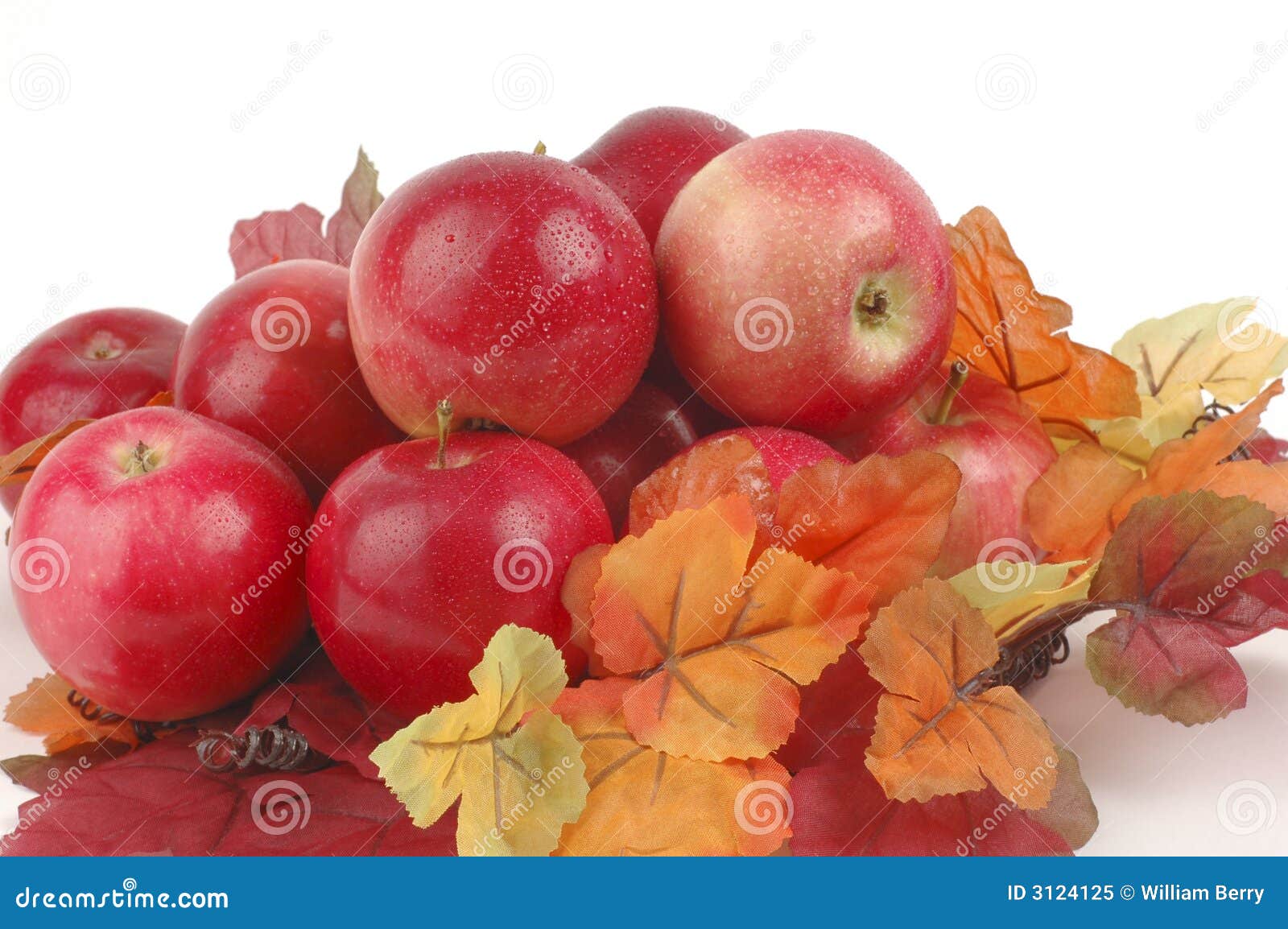 Apples and Fall Foliage stock image. Image of natuaral - 3124125