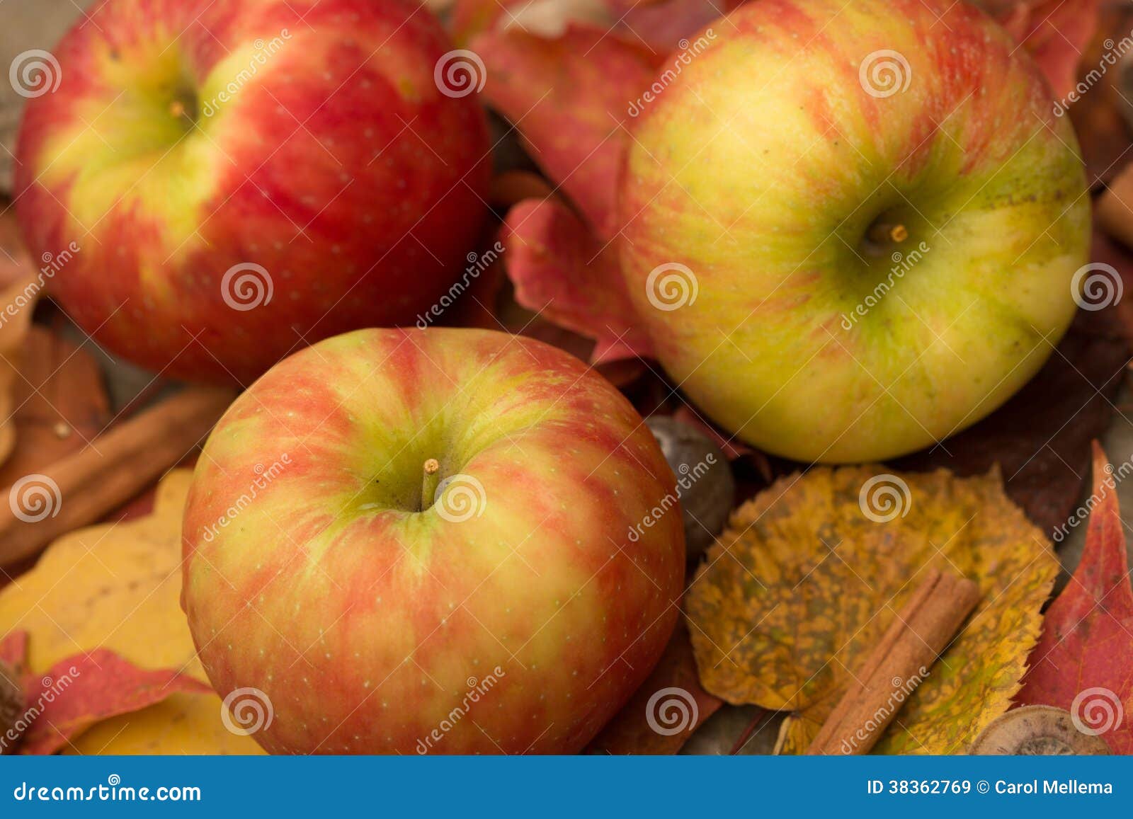 Apples and Fall Leaves stock image. Image of nature, tree - 38362769