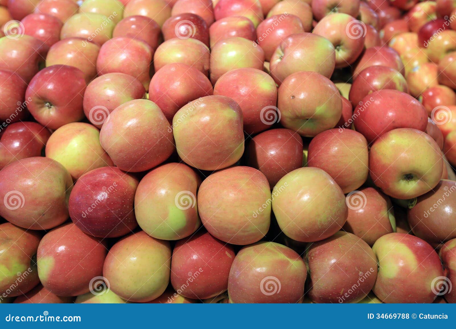 Apples in food store stock photo. Image of ingredients - 34669788