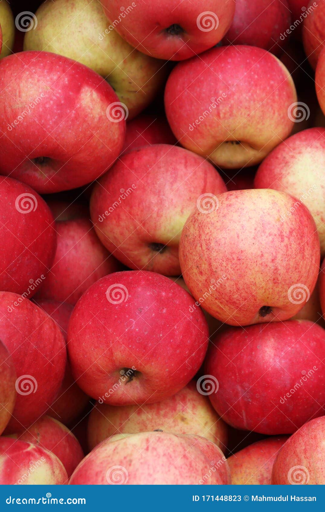 Apples in a Fruit Shop. Lots of Red Apples Stock Image - Image of ...