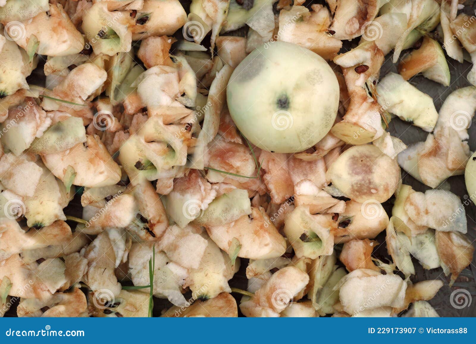 Apples get oxidize stock image. Image of details, closeup - 229173907