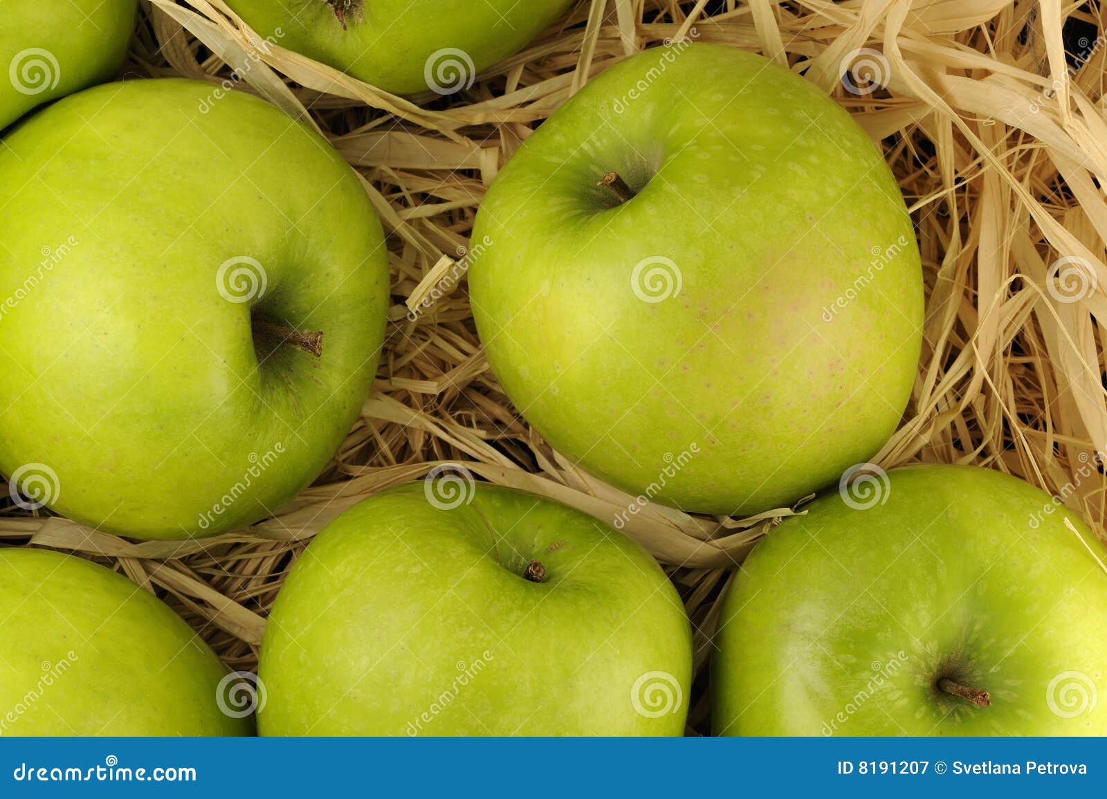 Apples in the hay stock image. Image of color, abstract - 8191207