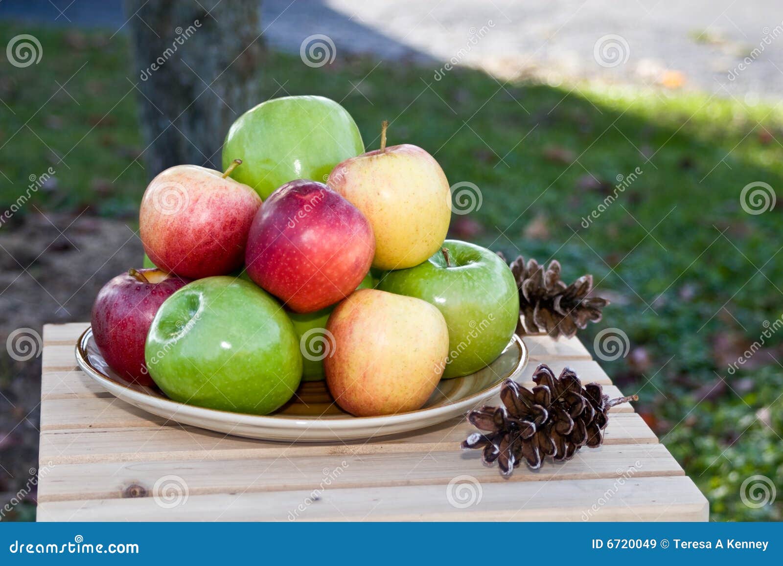 Apples at Home stock image. Image of autumn, colourful - 6720049