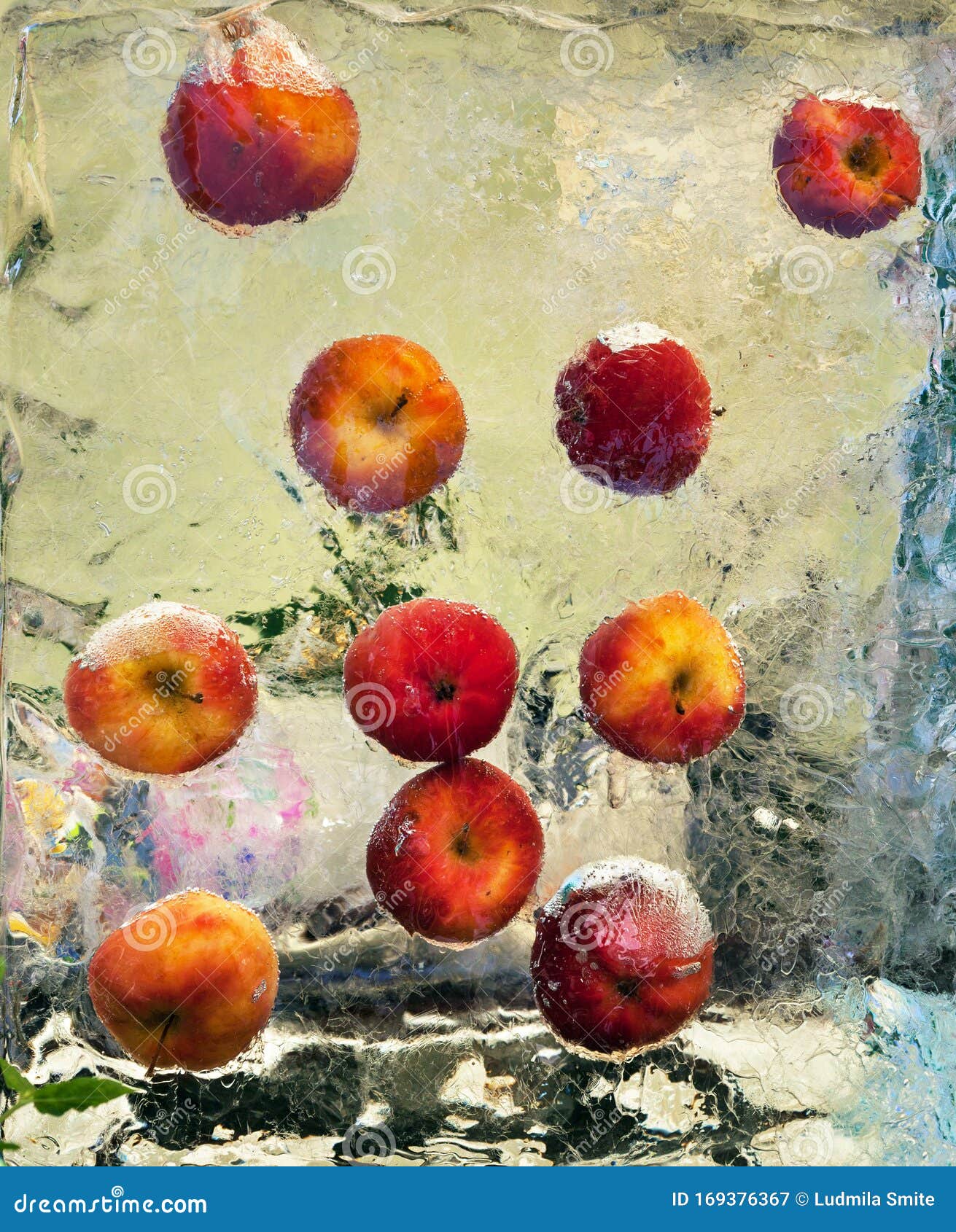 Apples in ice stock image. Image of surface, cold, arctic - 169376367
