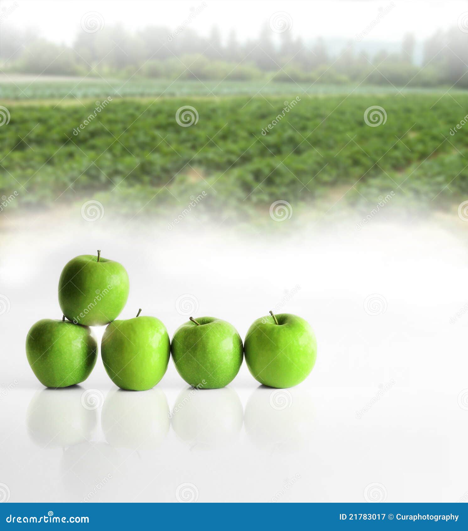 Apples in a line stock image. Image of fresh, shiny, space - 21783017