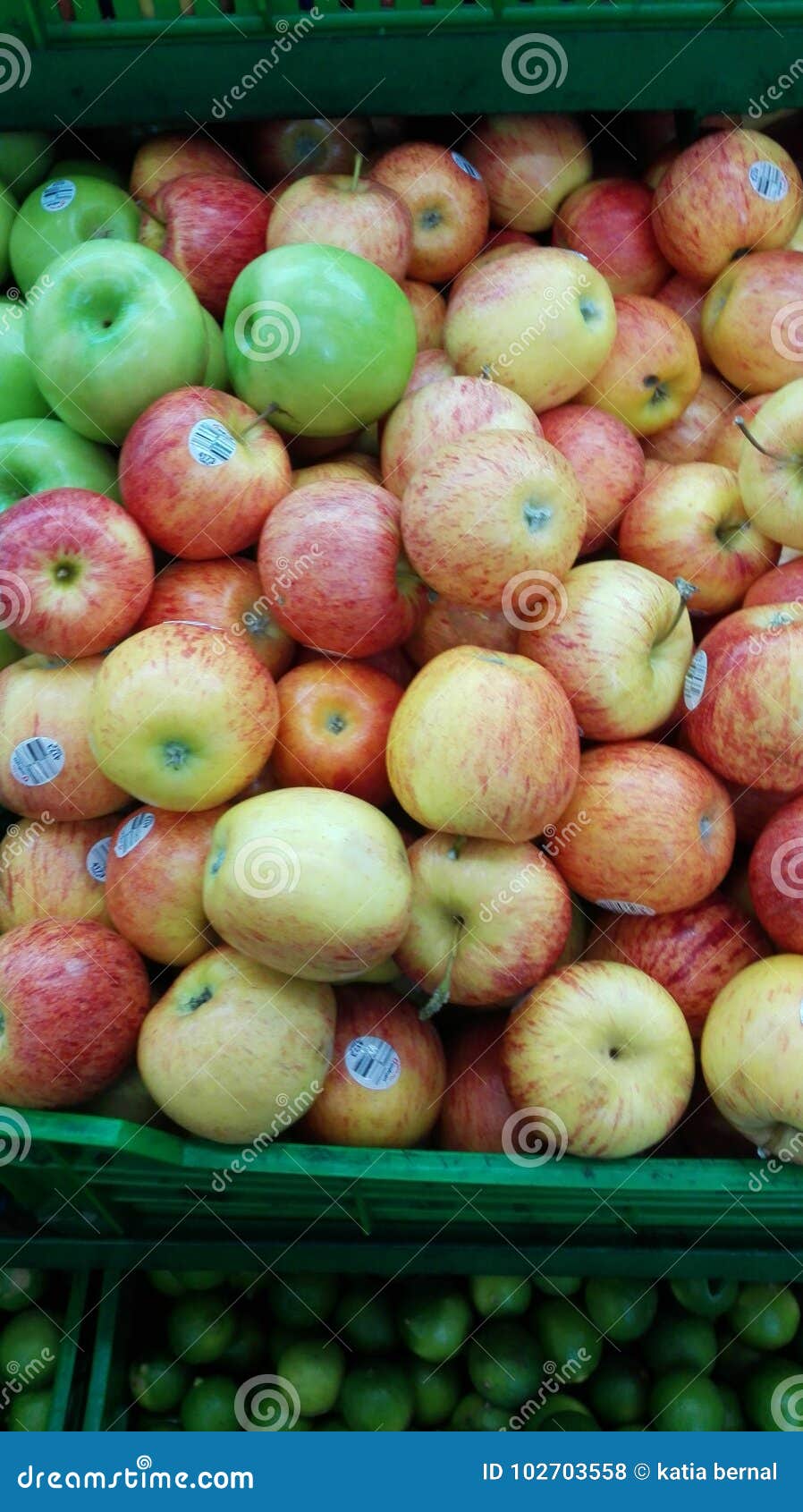 A lot apples and colors stock photo. Image of beautiful - 102703558