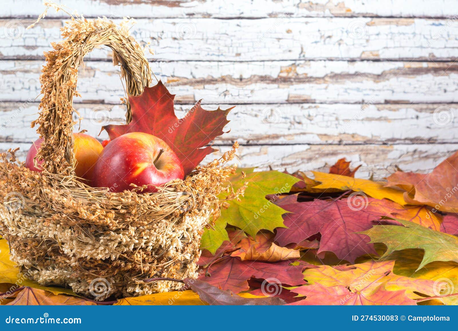 Apples and Maple Leaves in a Basket Stock Image - Image of orange ...