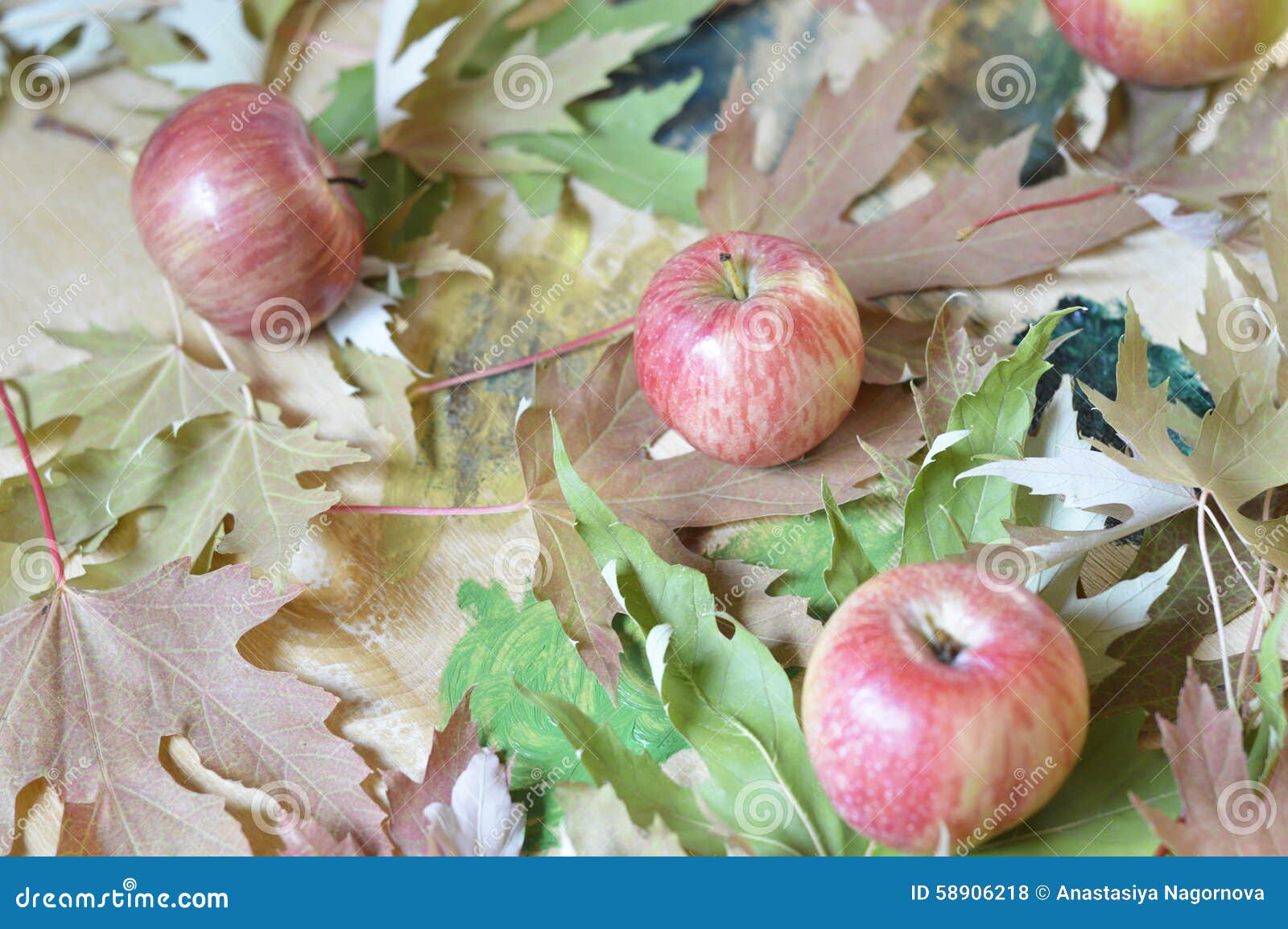 Apples and Maple Leaves on a Wood Background Stock Photo - Image of ...
