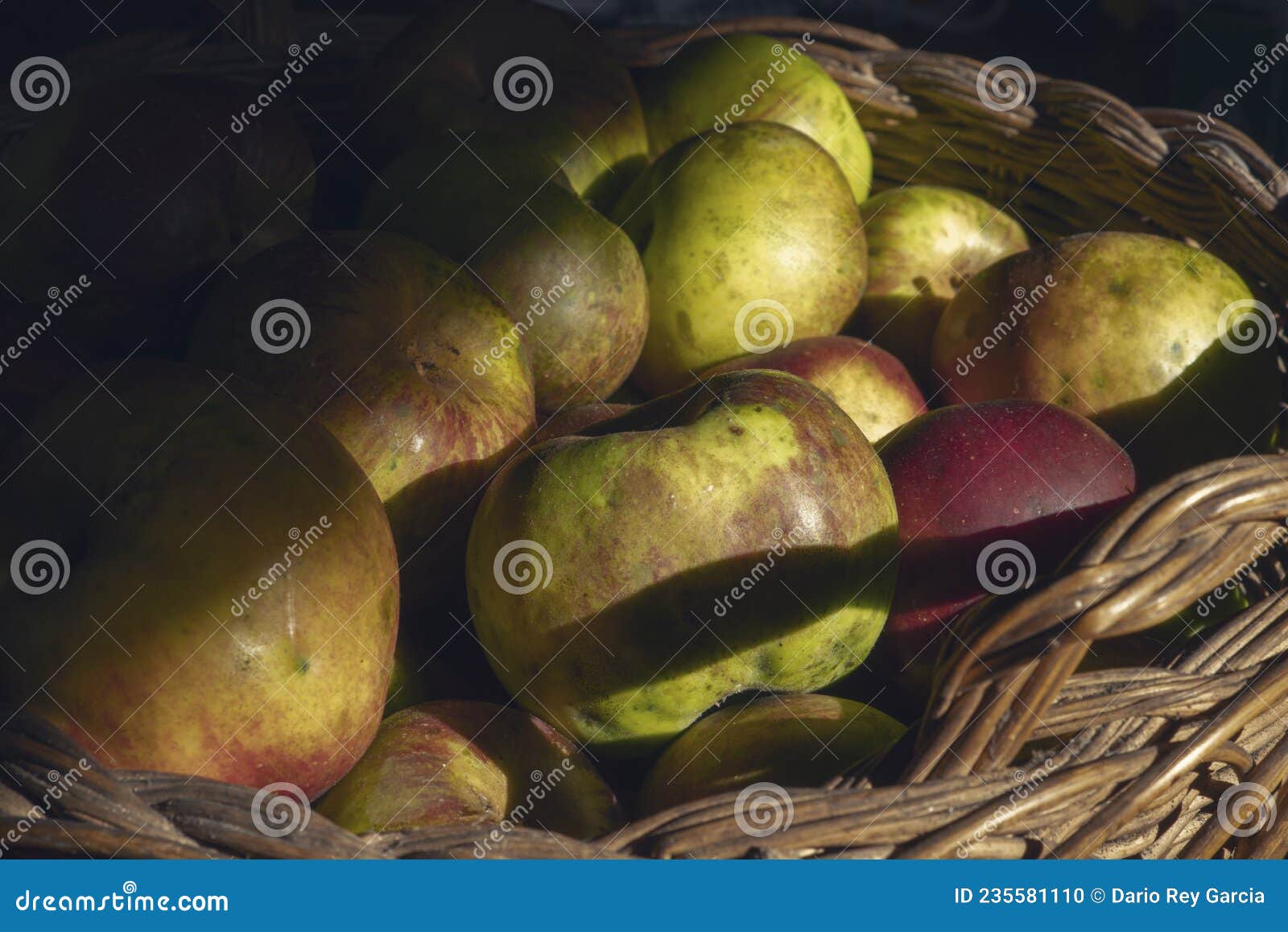 Apples with natural light stock photo. Image of awesome - 235581110