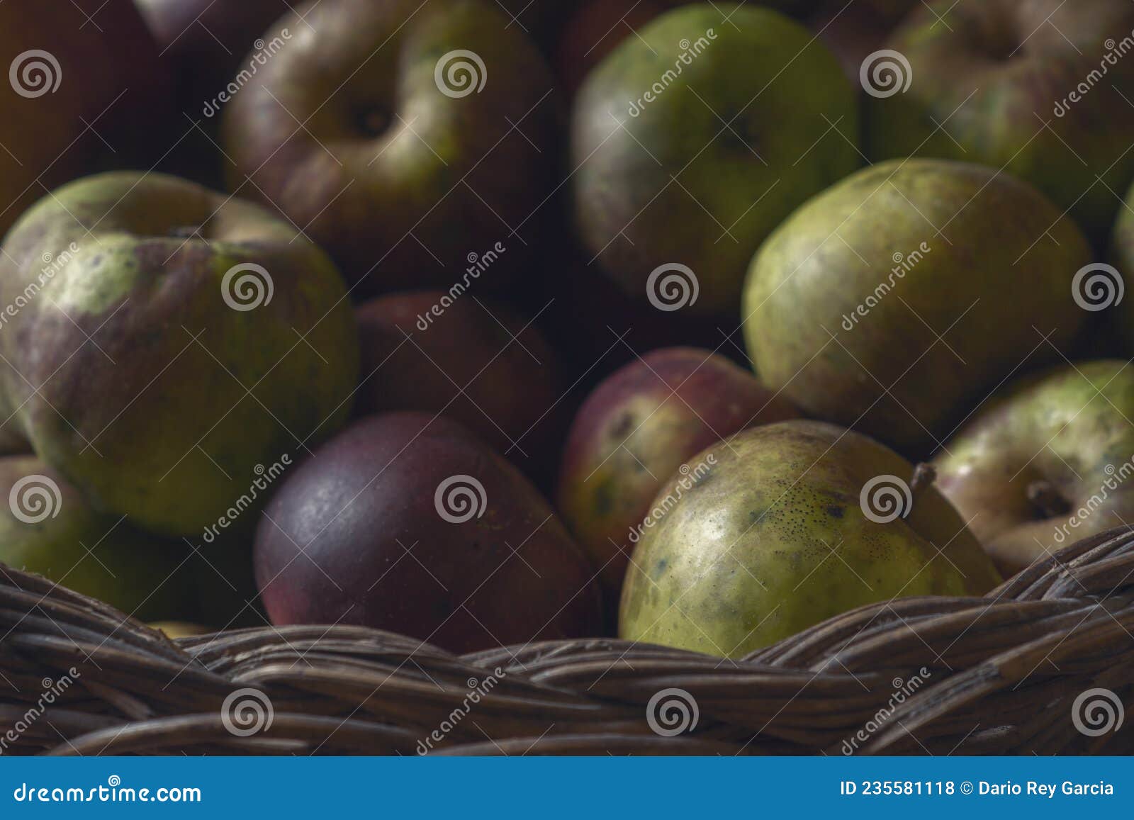 Apples with natural light stock photo. Image of european - 235581118