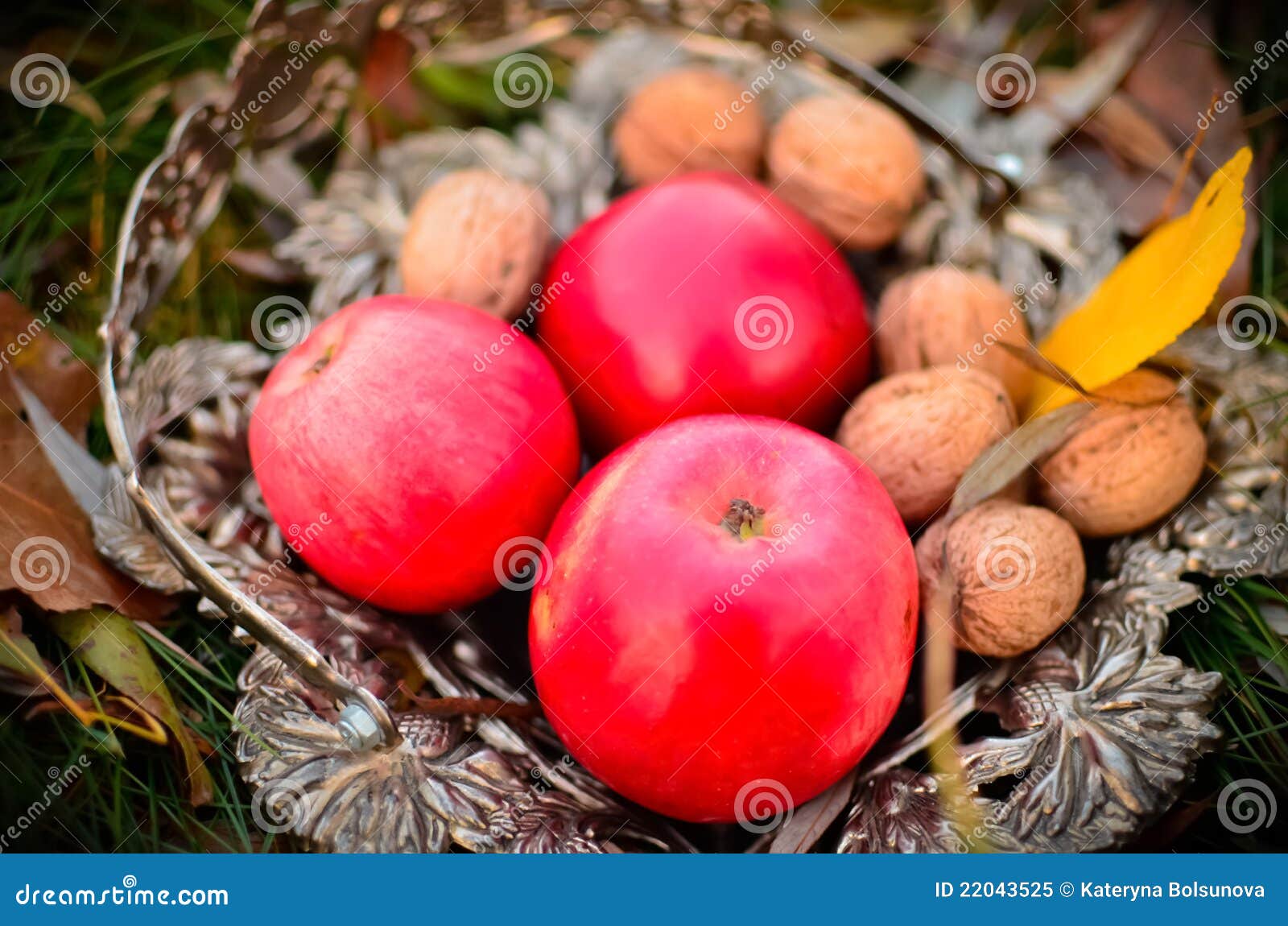 Apples and nuts stock image. Image of still, open, ground - 22043525