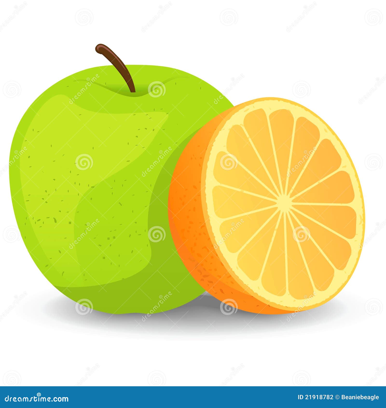Apples and Oranges stock vector. Illustration of design - 21918782
