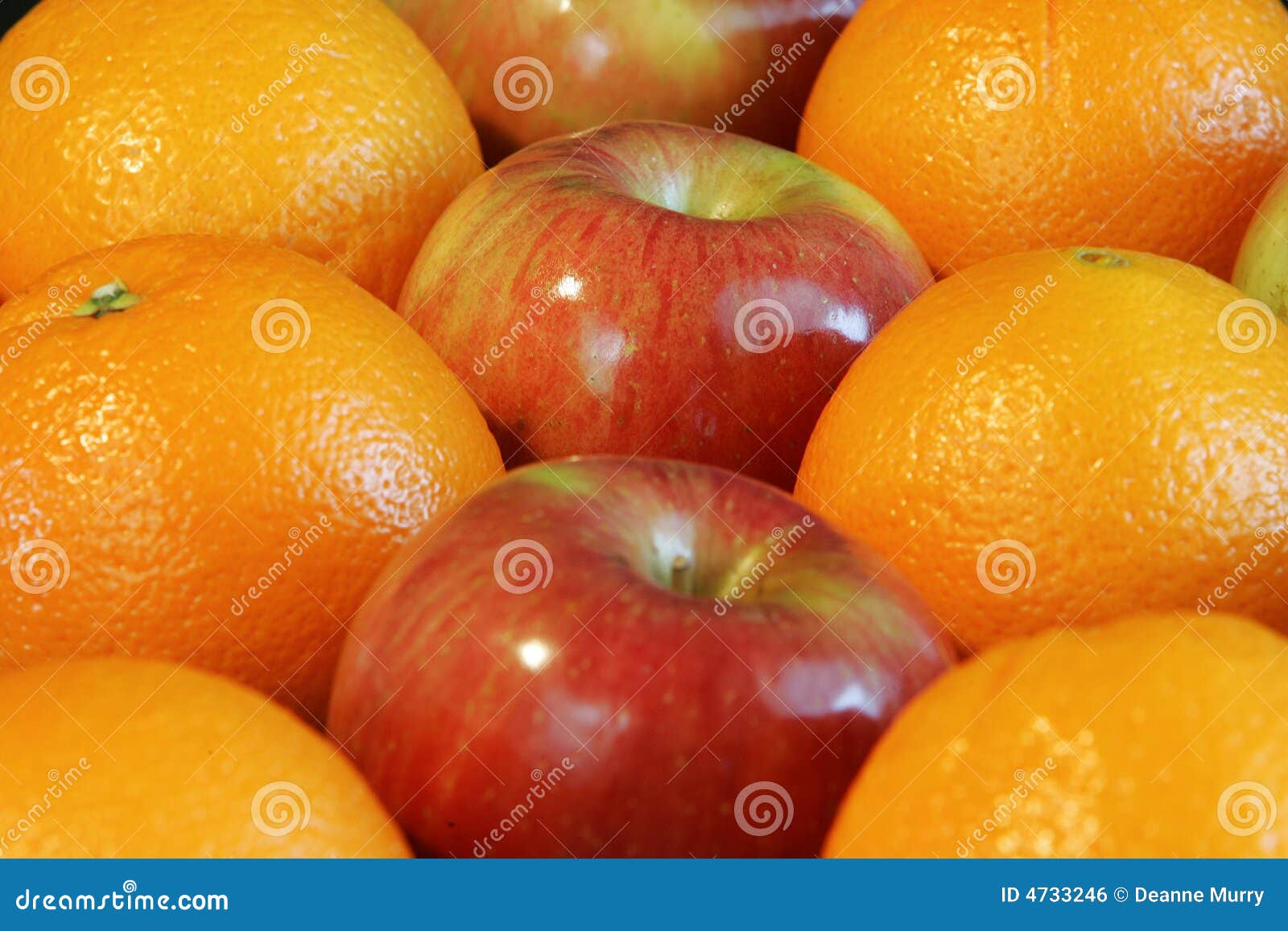 Apples and Oranges stock photo. Image of nutrition, healthy - 4733246