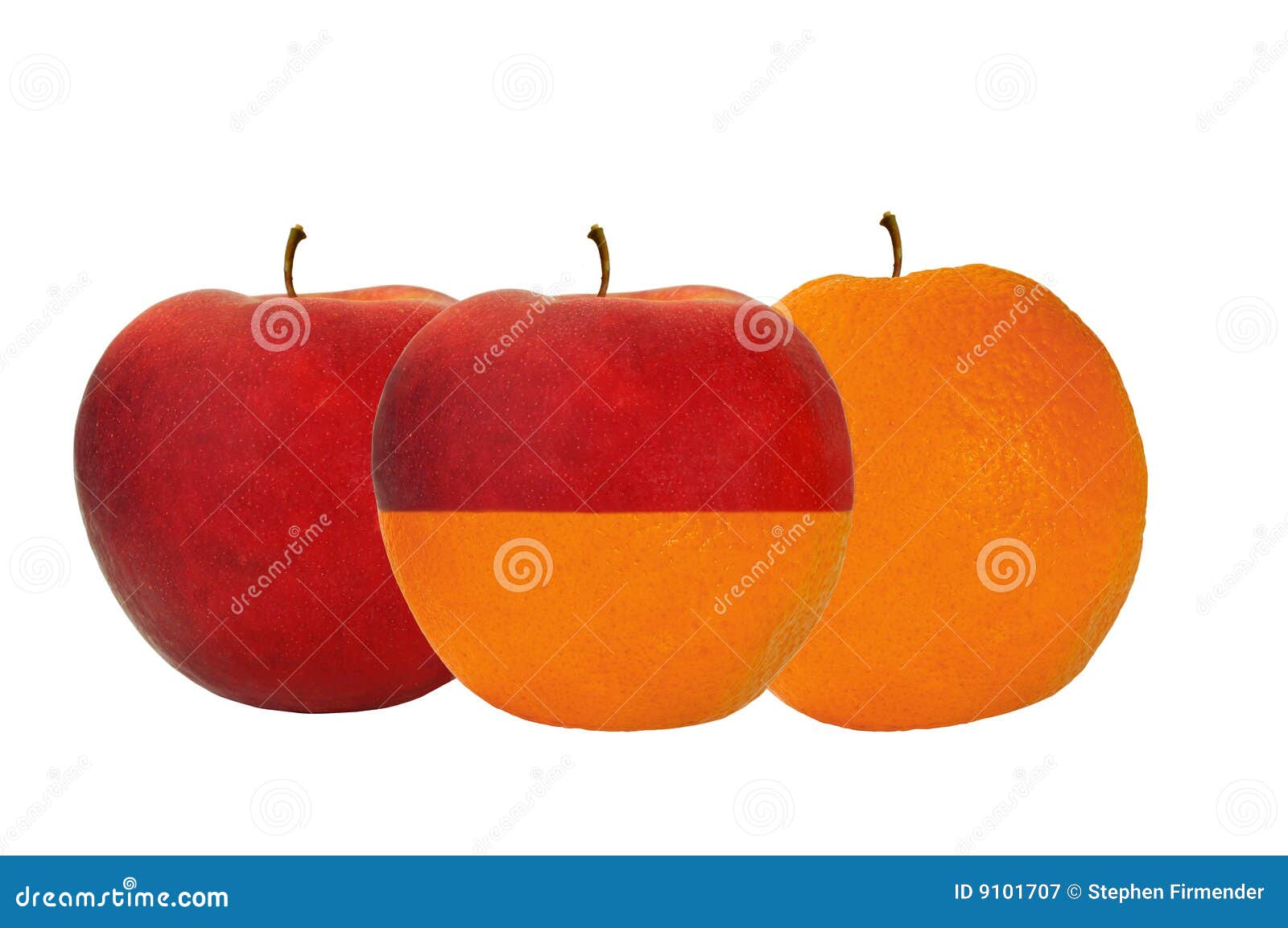Apples and Oranges stock image. Image of concept, apple - 9101707