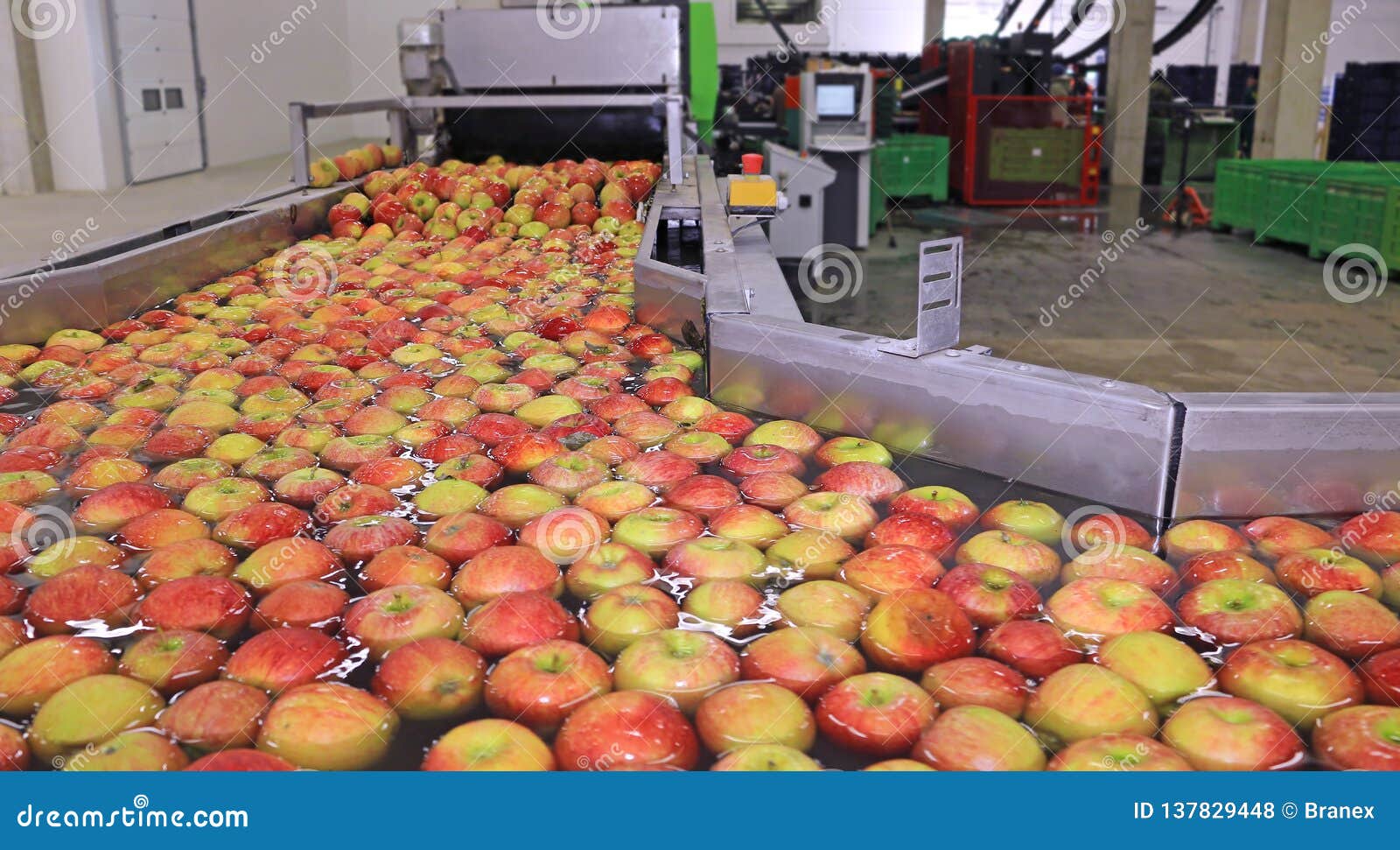 Apples packing warehouse stock photo. Image of diet - 137829448