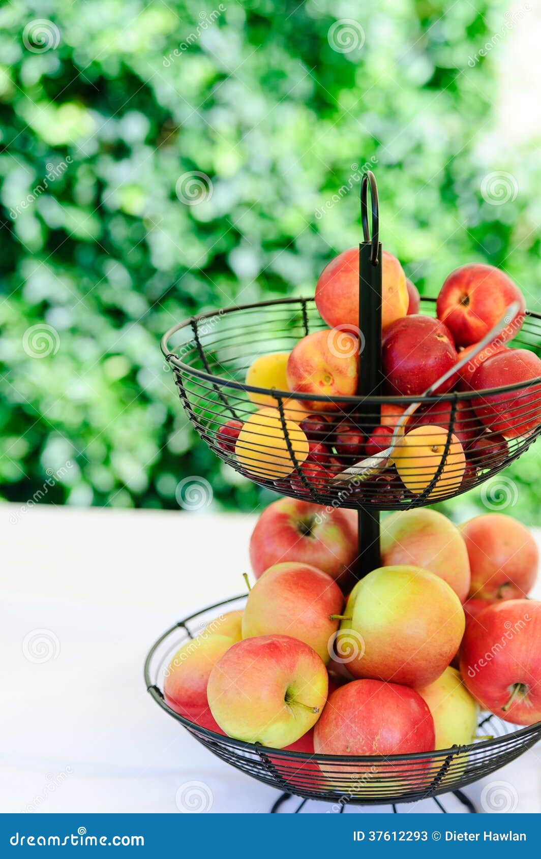 Apples and Peaches in a Basket Stock Image - Image of peaches, group ...