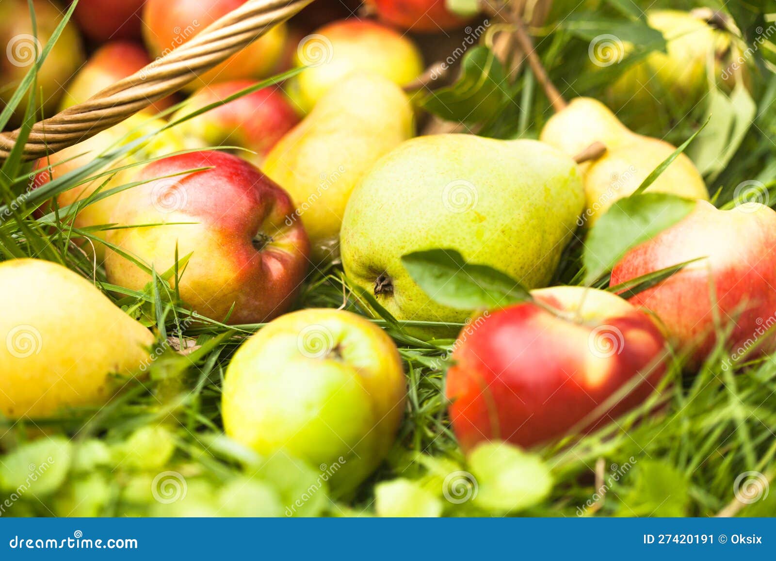 Apples and Peaches on Grass Stock Image - Image of organic, healthy ...