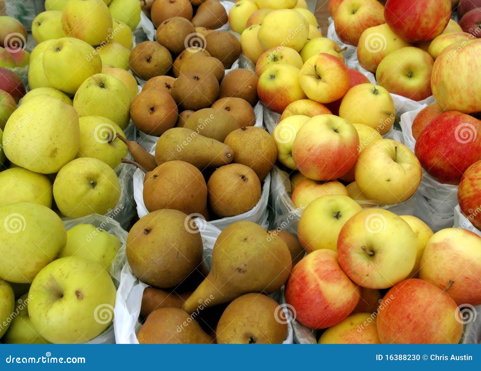 Apples & Pears stock photo. Image of golden, autumn - 16388230
