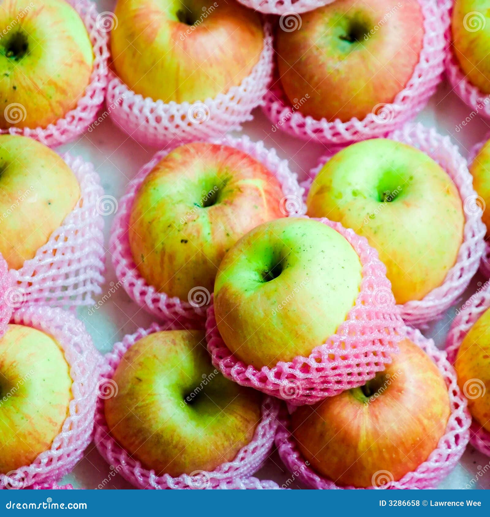Apples in Pink stock photo. Image of orderly, tutus, apples - 3286658