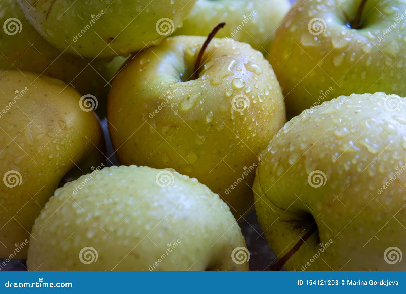 Apples on a Plate on the Table in the Kitchen. Chantecler Apples Stock ...