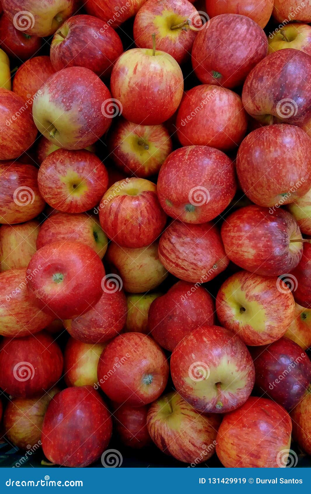 Apples produced in Brazil stock image. Image of sweet - 131429919