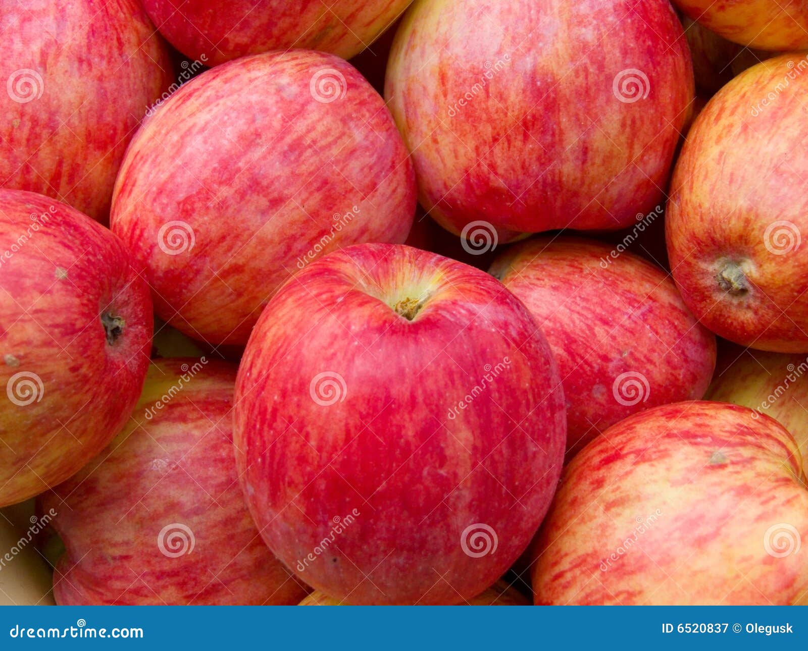 Apples Red a Layer from Fruit Stock Image - Image of garden, apples ...