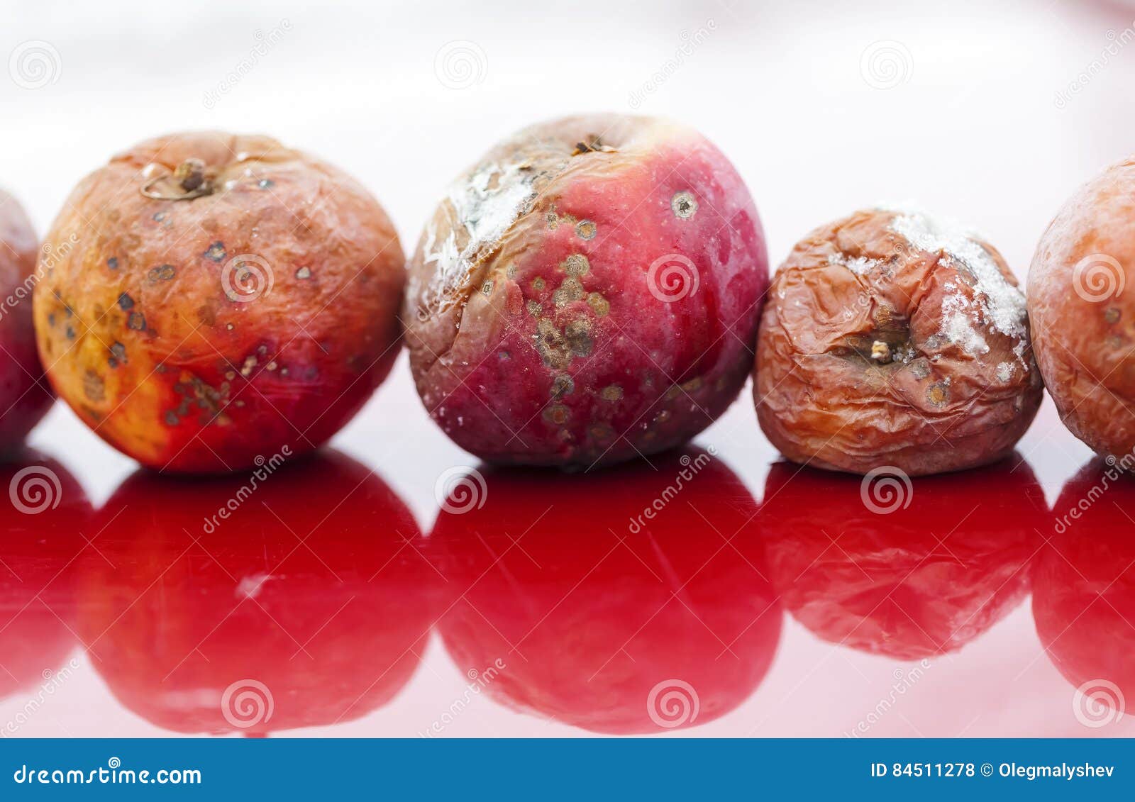 Apples Red Rotting Aging Apple Old Dry Stock Photo - Image of aging ...