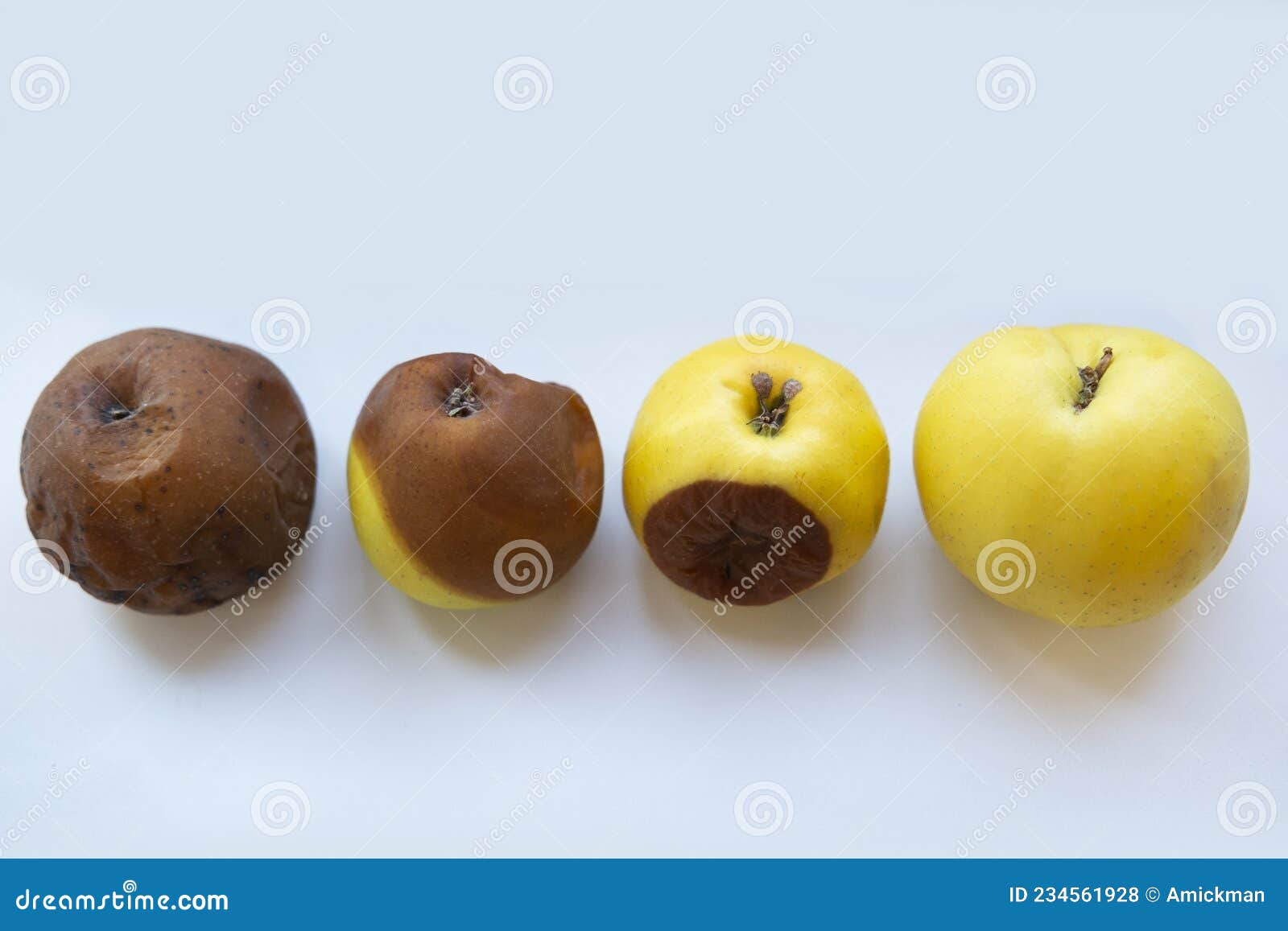 Apples from ripe to rotten stock photo. Image of ugly - 234561928