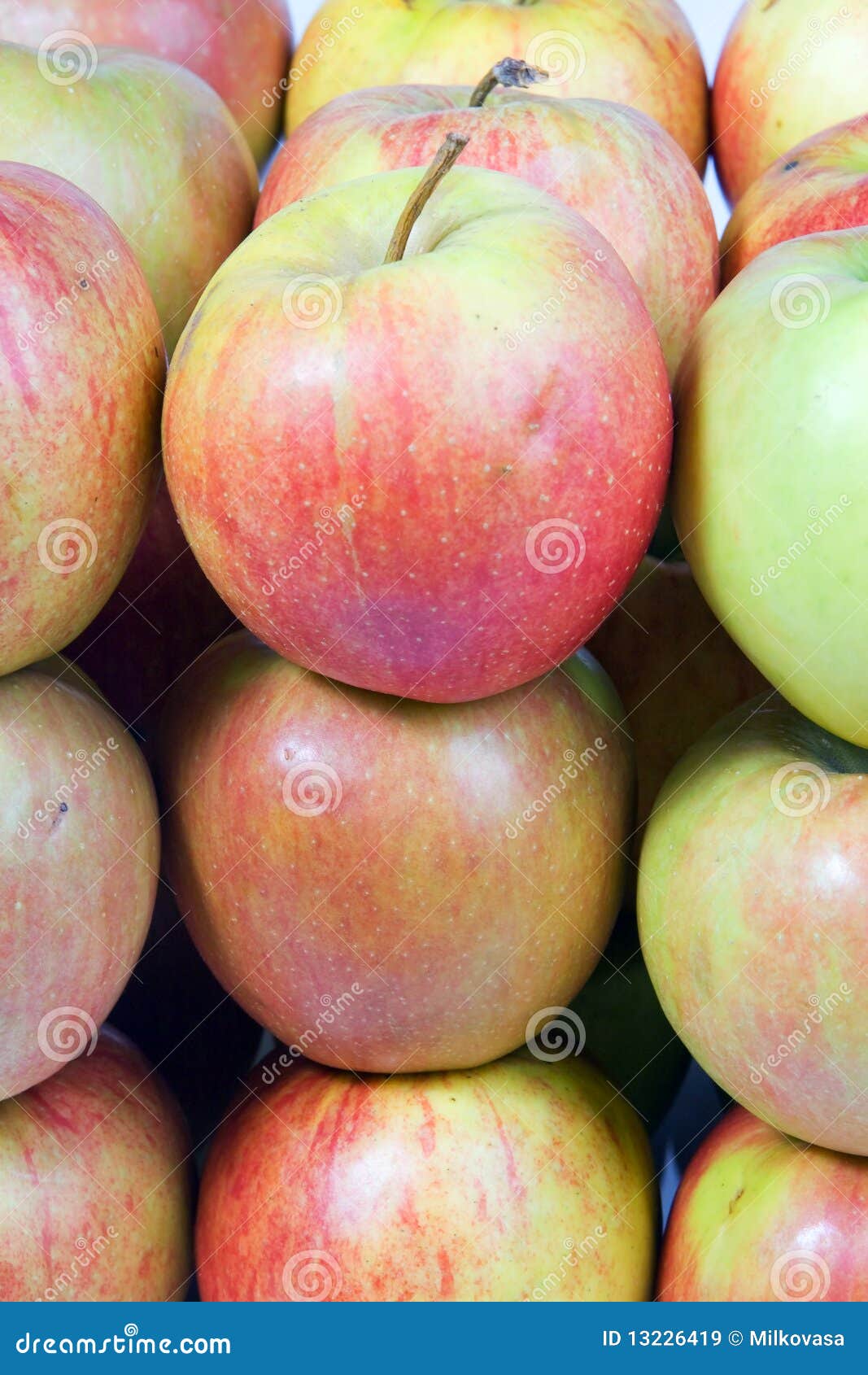 Apples in a row stock image. Image of color, vegetarian - 13226419