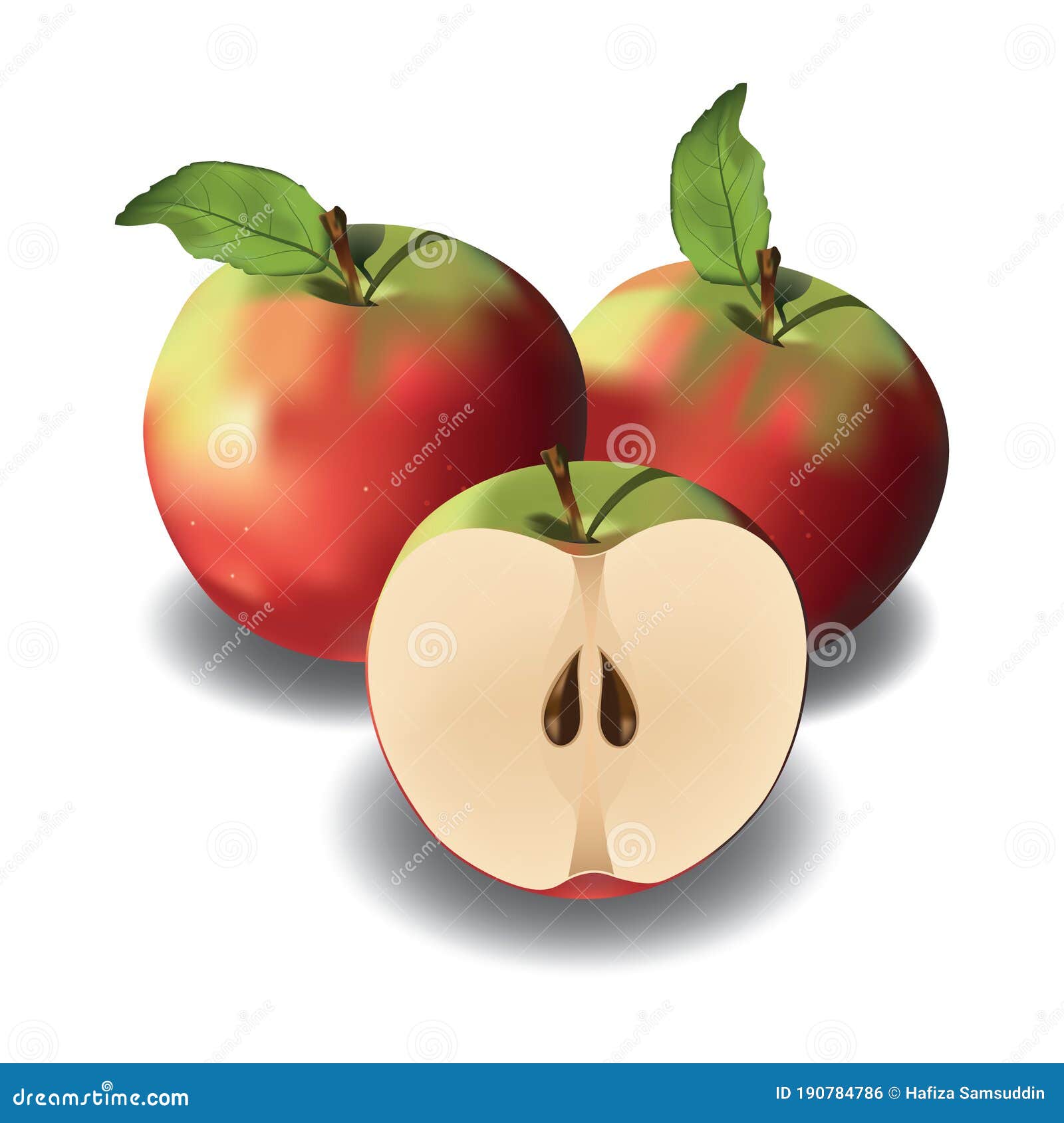 Apples with Slice. Vector Illustration Decorative Design Stock Vector ...