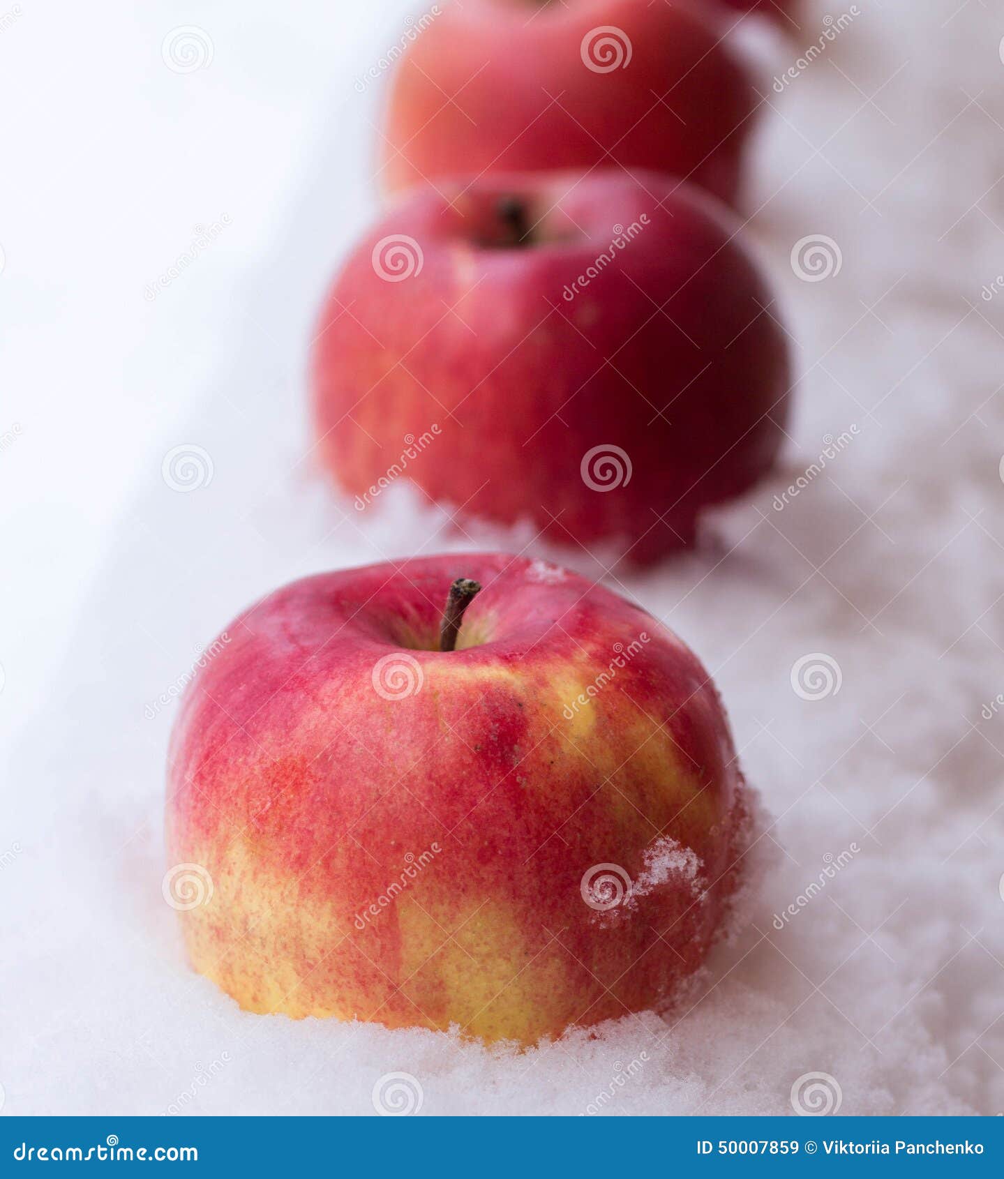Apples in the snow stock image. Image of color, xmas - 50007859