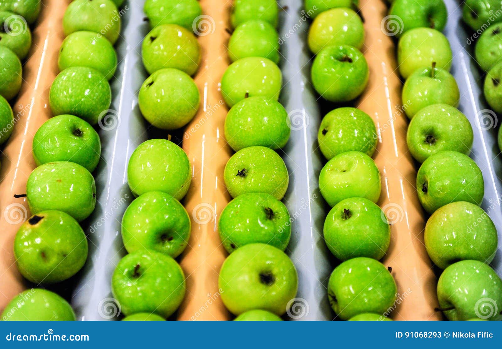 Apples sorting and packing stock image. Image of line - 91068293