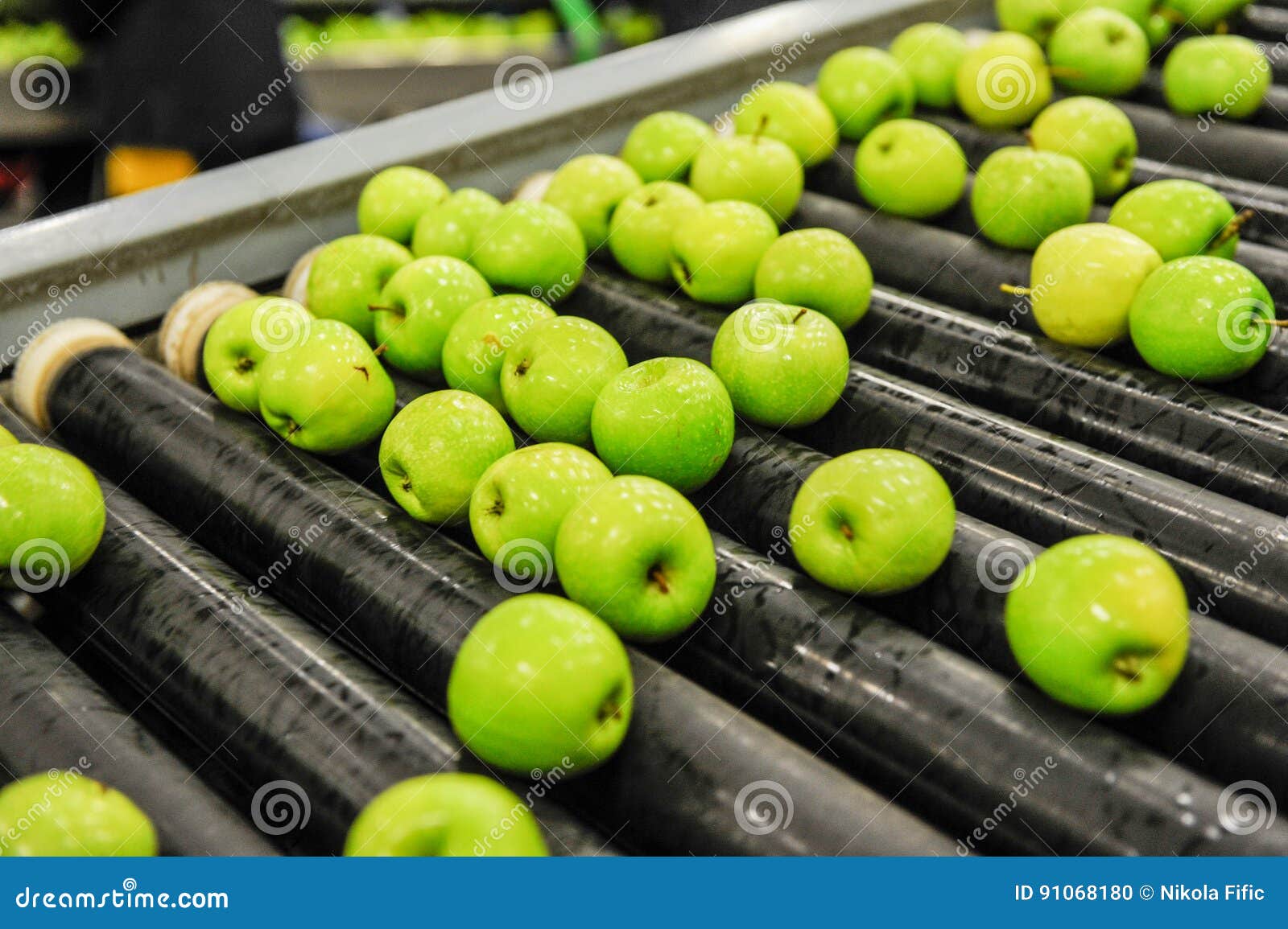 Produce Washing Tub Stock Photos - Free & Royalty-Free Stock Photos ...