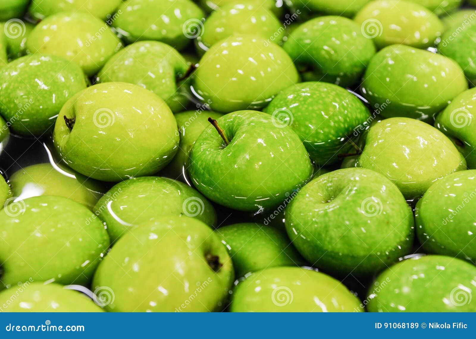 Apples sorting and packing stock image. Image of fruit - 91068189