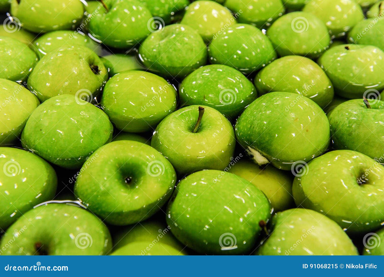 Apples sorting and packing stock image. Image of equipment - 91068215
