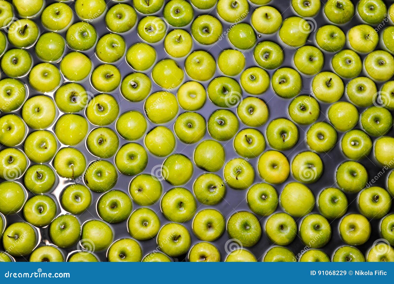 Apples sorting and packing stock image. Image of natural - 91068229