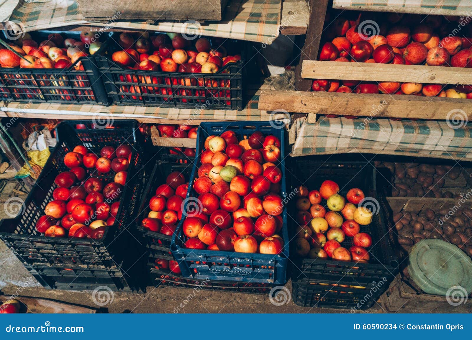 Apples stored for winter stock photo. Image of apples - 60590234