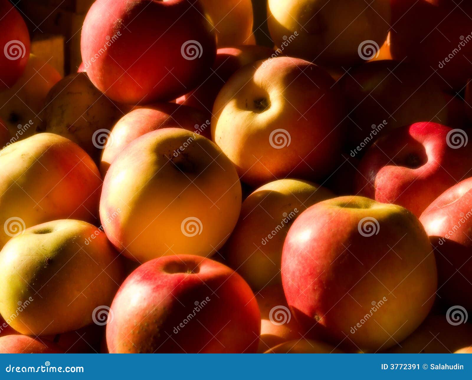 Apples in the sun stock image. Image of warm, yellow, food - 3772391