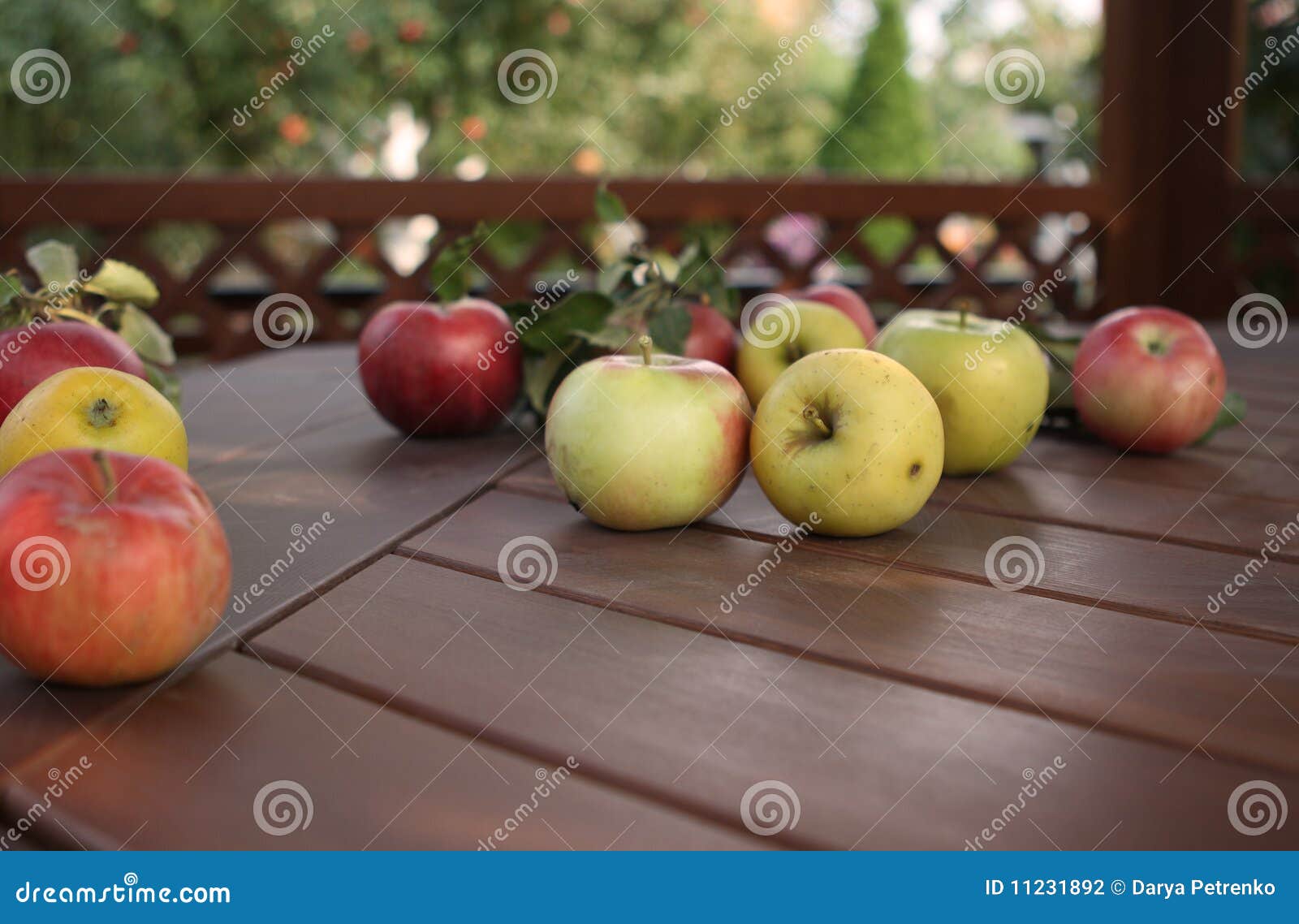 Apples on the table stock photo. Image of texture, autumn - 11231892
