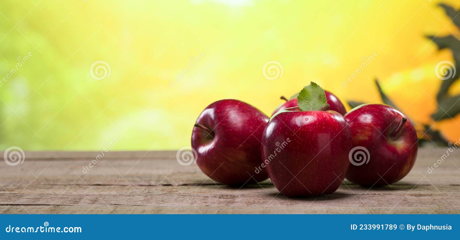 Apples on the table stock image. Image of light, sunset - 233991789