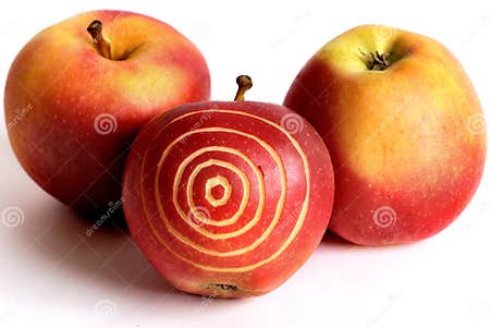 Apples-target stock image. Image of range, gardening, harvest - 3176693