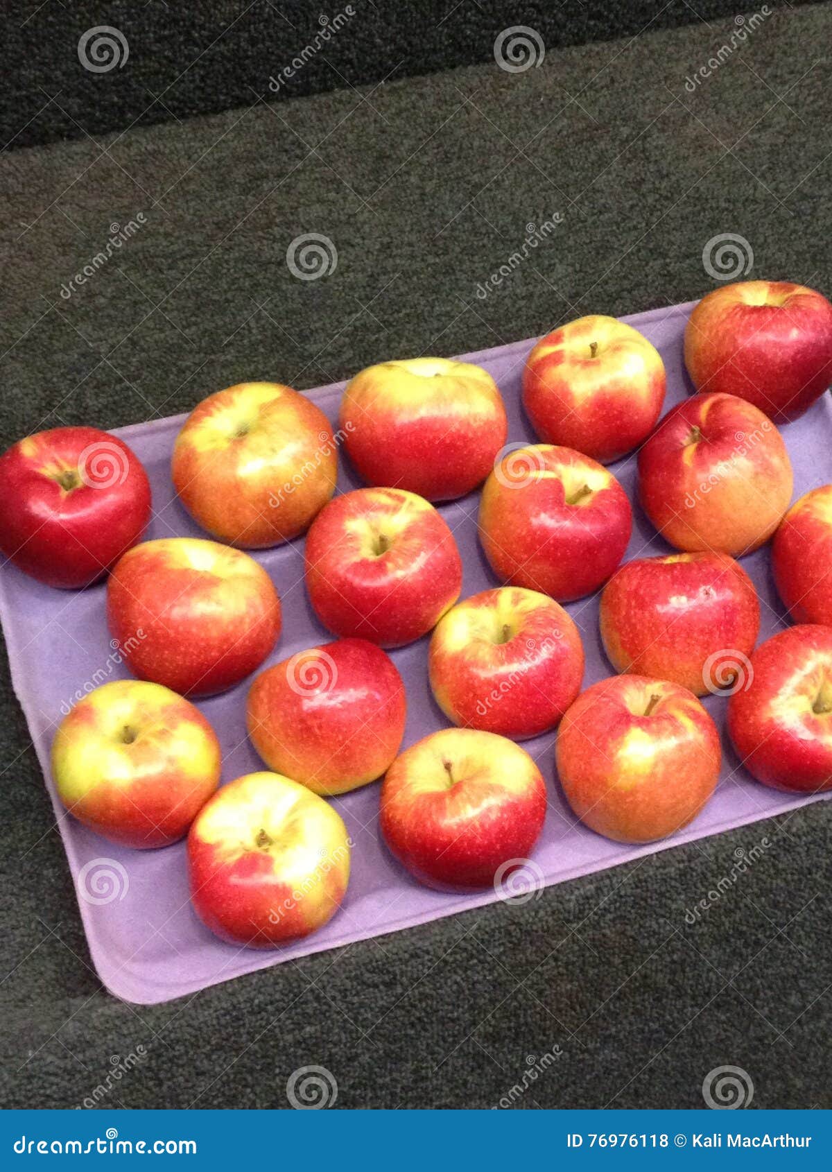 Apples stock photo. Image of state, fair, minnesota, apples - 76976118