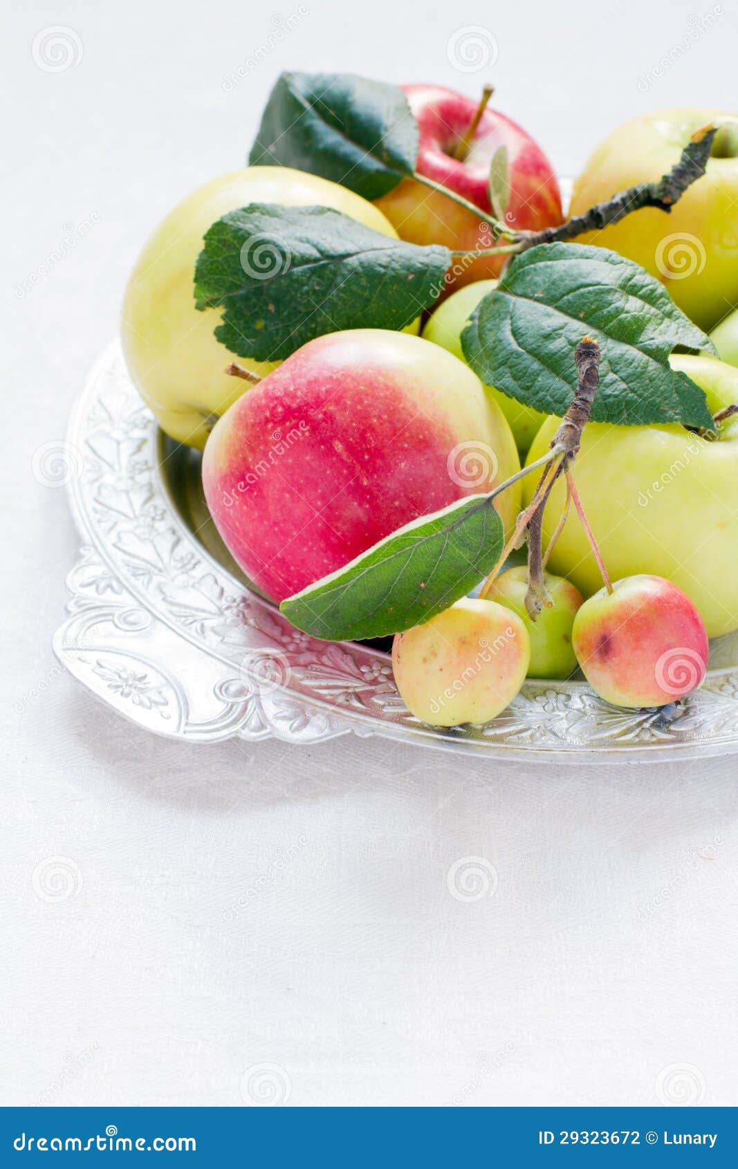 Apples on a tray stock photo. Image of green, organic - 29323672
