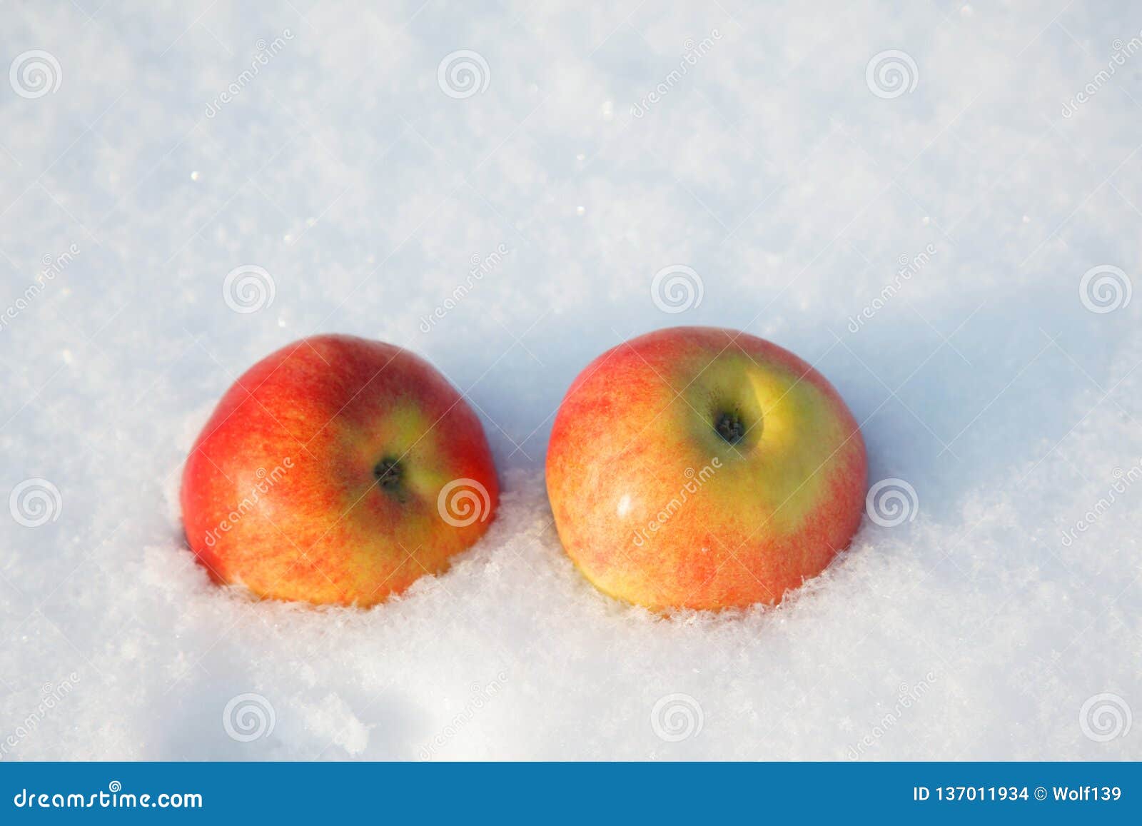 Apples on White Snow in Winter Stock Photo - Image of food, still ...