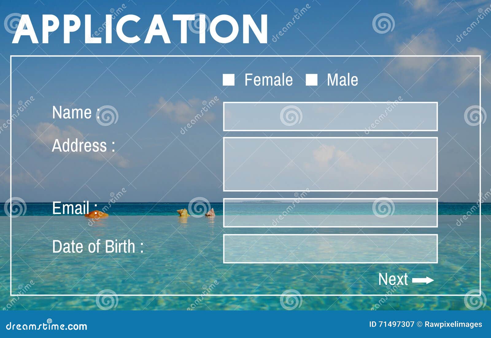 Application Form Interface Webpage Register Concept Stock Illustration ...