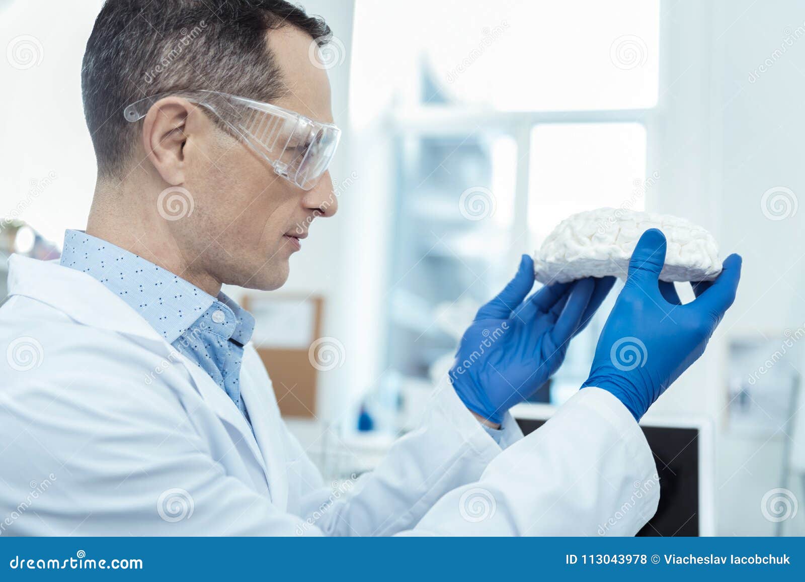 Professional Researcher Holding a Model of Brain Stock Photo - Image of ...