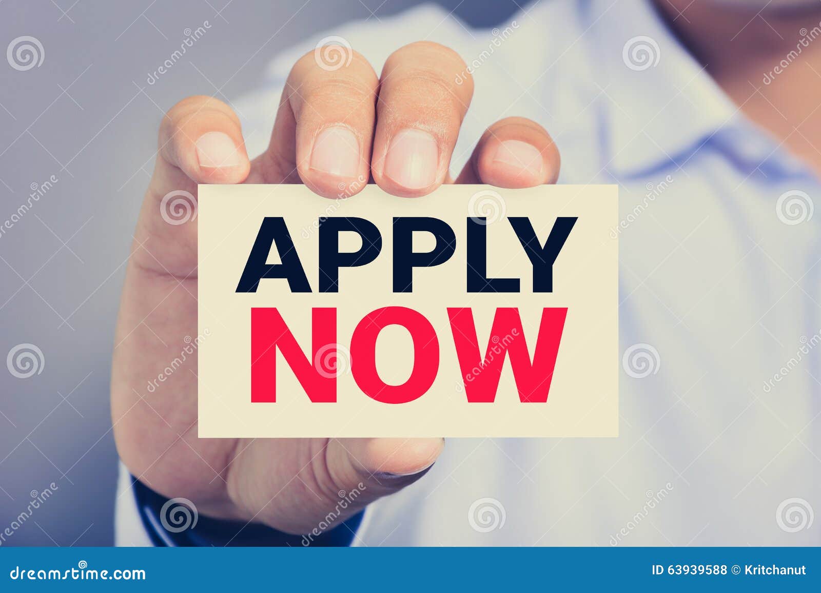 APPLY NOW, Message on Business Card Stock Photo - Image of membership ...