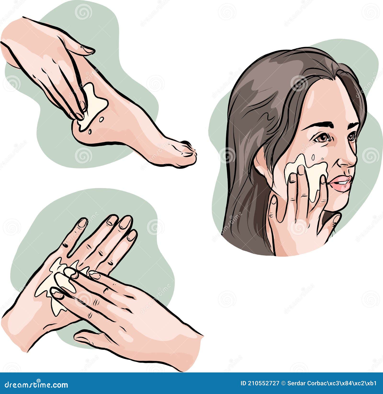 Applying Moisturizer To Hands, Face and Feet Vector Illustration Stock ...
