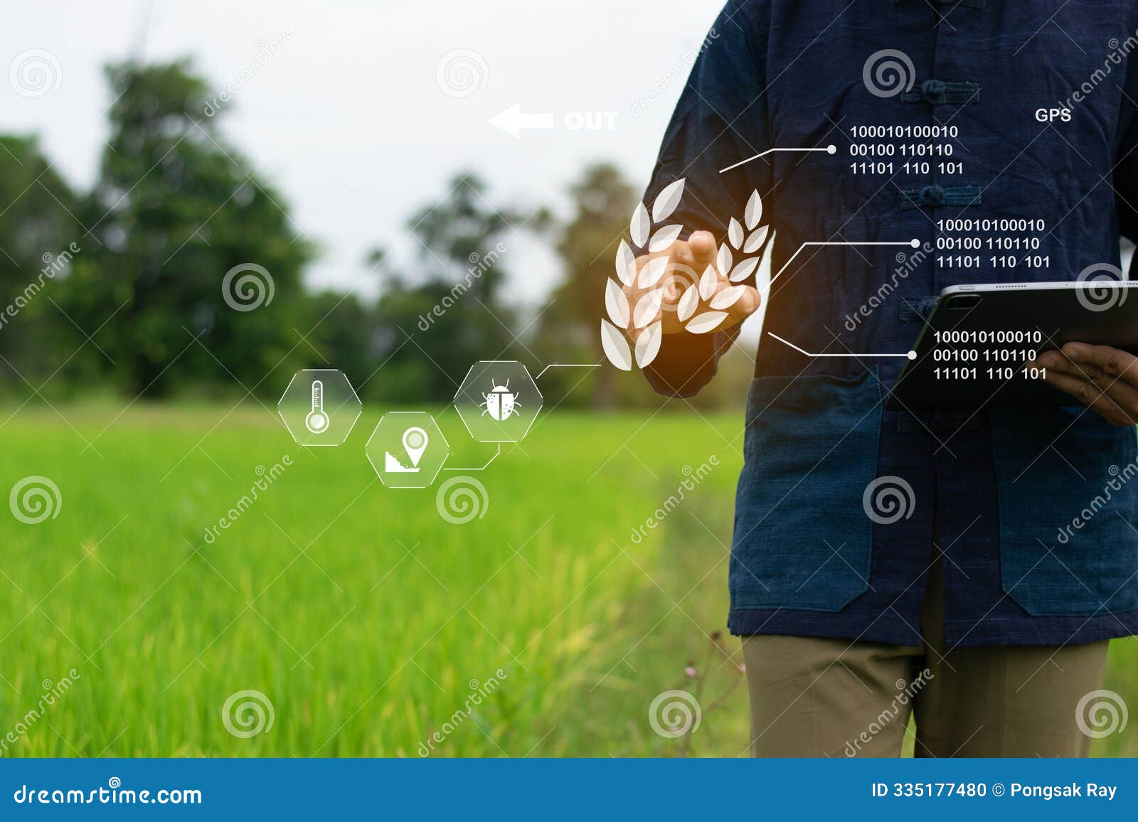 By Applying Smart Technology, Farmers Can Analyze Data To Increase Rice ...