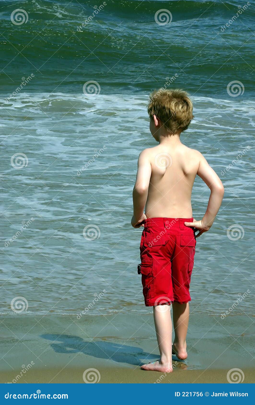 Apprehension stock photo. Image of stance, shoreline, trunks - 221756